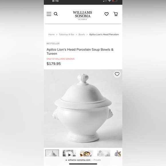 Apilco | Dining | Apilco Lions Head Soup Tureen From William Sonoma ...